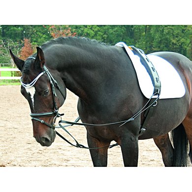 Kavalkade Vienna Reins – Equestrian Sports House